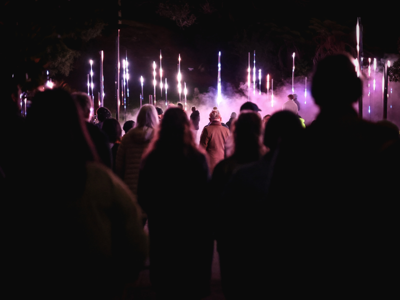 Top ways to experience Light Cycles